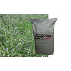 Seminte lucerna pomposa sam. Punga 1kg