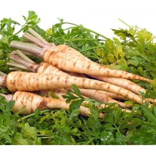 Seminte plic pastarnac 5gr